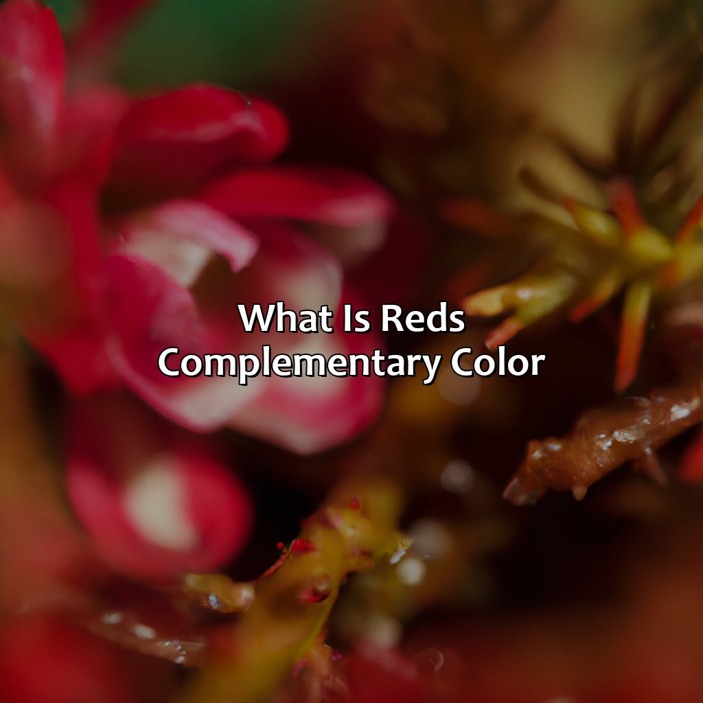 What Is Red S Complementary Color Branding Mates